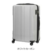 レジェンドウォーカー スーツケース 機内持ち込み 35L 48cm 2kg